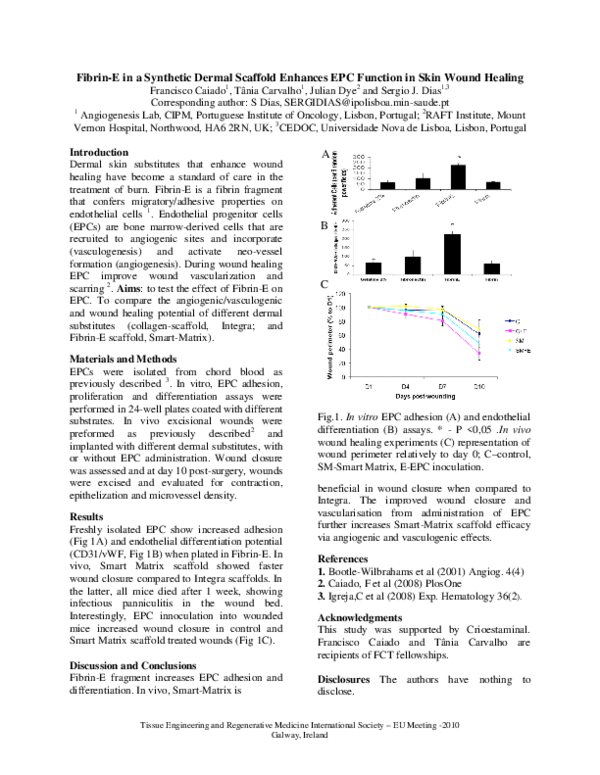 (PDF) Fibrin-E in a Synthetic Dermal Scaffold Enhances EPC Function in Skin Wound Healing