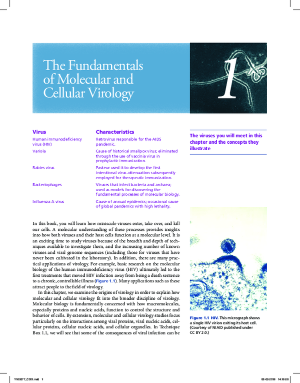 (PDF) The Fundamentals of Molecular and Cellular Virology