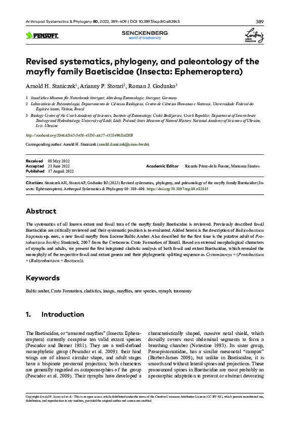 (PDF) Revised systematics, phylogeny, and paleontology of the mayfly ...