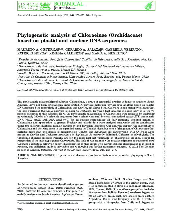 (PDF) Phylogenetic analysis of Chloraeinae (Orchidaceae) based on ...
