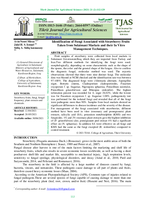 (PDF) Identification of Fungi Associated with Strawberry Fruits Taken from Sulaimani Markets and ...
