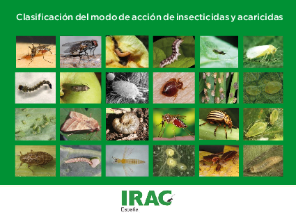 (PDF) FOLLETO Clasificación MdA de insecticidas y acaricidas