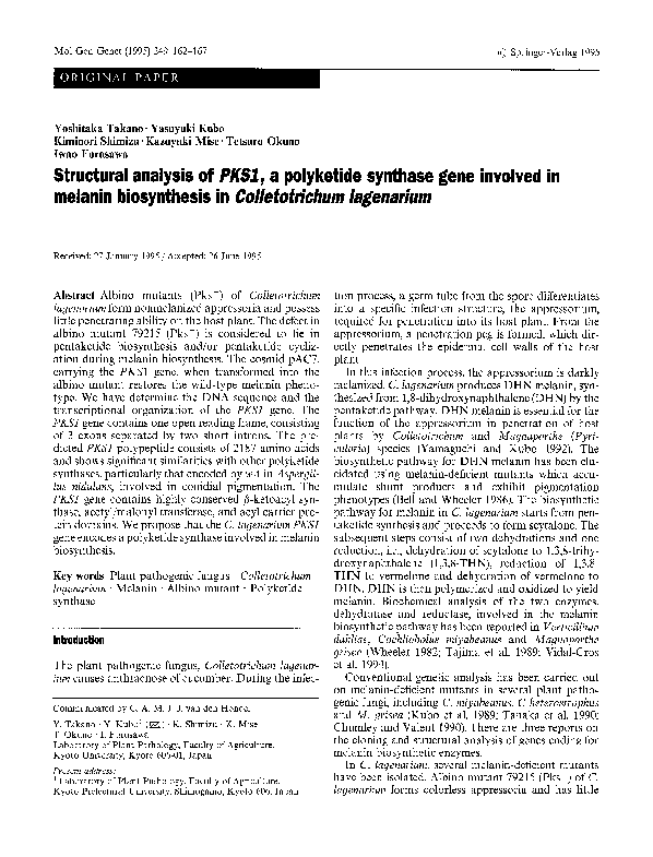 (PDF) Structural analysis of PKS1, a polyketide synthase gene involved ...