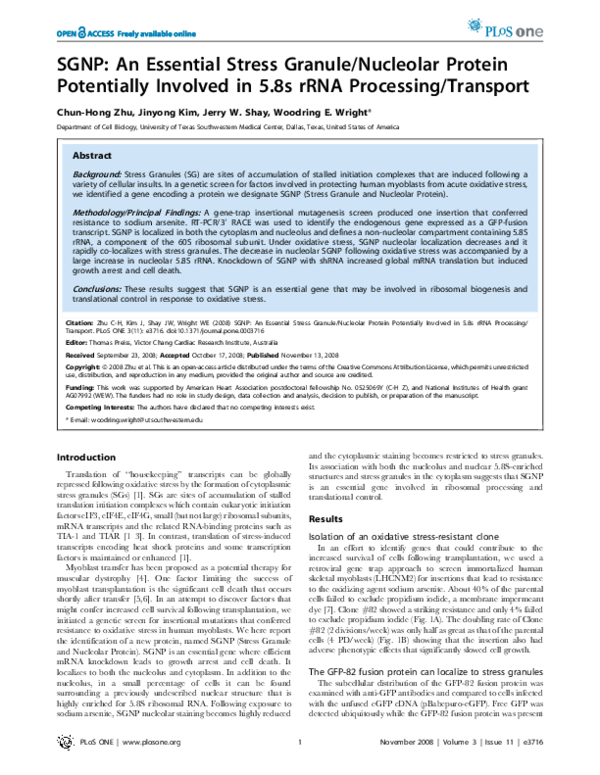 (PDF) SGNP: an essential Stress Granule/Nucleolar Protein potentially ...