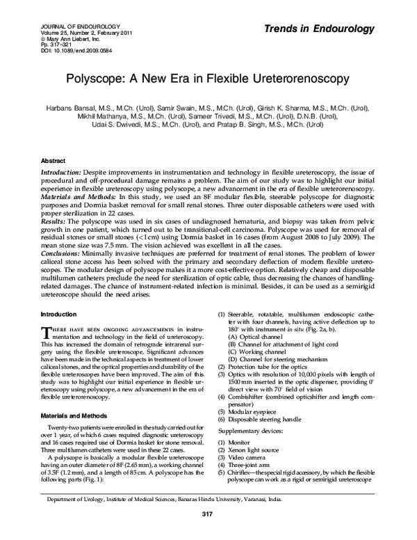 (PDF) Polyscope: A New Era in Flexible Ureterorenoscopy