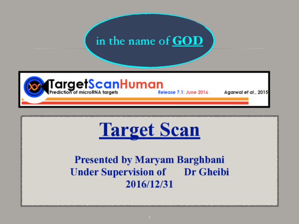 (PDF) Target Scan