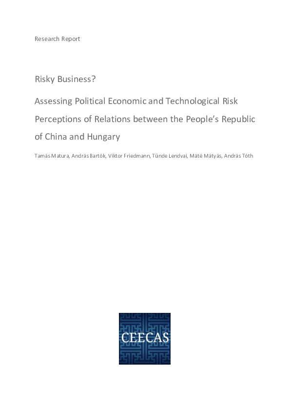 (PDF) Risky Business? Assessing Political Economic and Technological ...