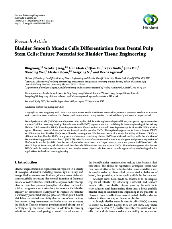 (PDF) Bladder Smooth Muscle Cells Differentiation from Dental Pulp Stem ...