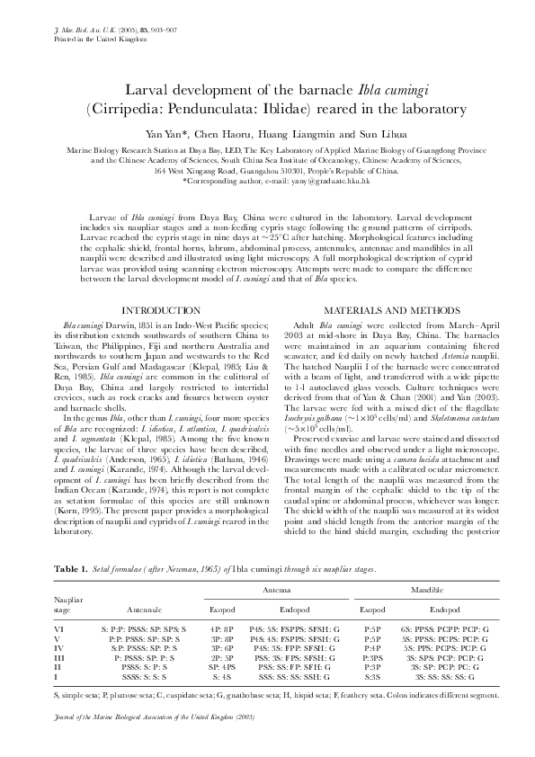 (PDF) Larval development of the barnacle Ibla cumingi (Cirripedia ...