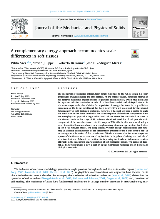 (PDF) A complementary energy approach accommodates scale differences in ...