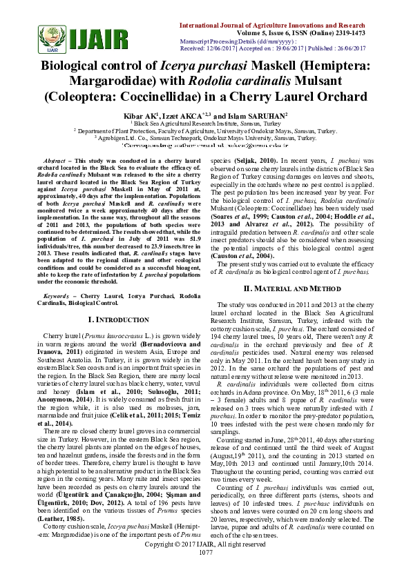 (PDF) Biological control of Icerya purchasi Maskell ( Hemiptera ...