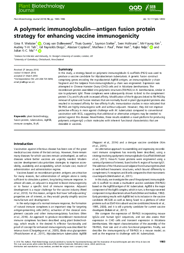 (PDF) A polymeric immunoglobulin - antigen fusion protein strategy for ...