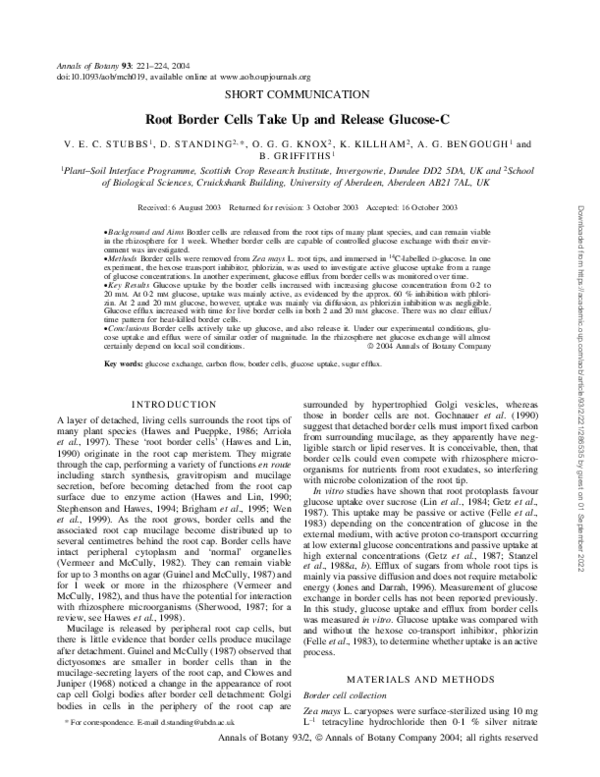 (PDF) Root border cells take up and release glucose-C | Dominic ...