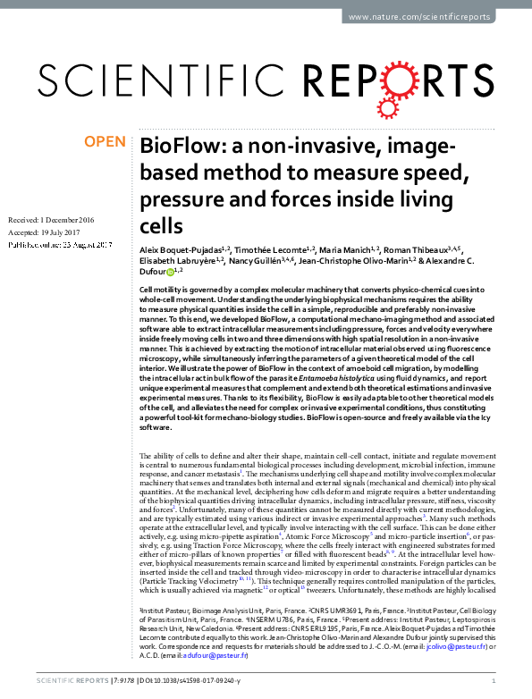 (PDF) BioFlow: a non-invasive, image-based method to measure speed ...