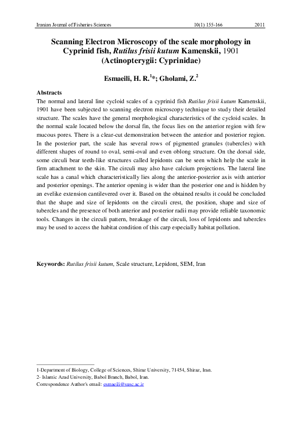(PDF) Scanning Electron Microscopy of the scale morphology in Cyprinid ...