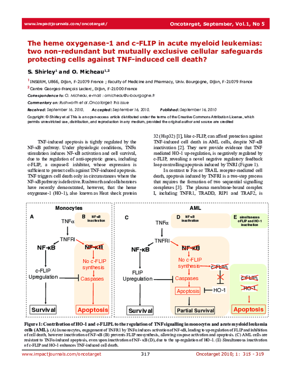 (PDF) The heme oxygenase-1 and c-FLIP in acute myeloid leukemias: two non-redundant but mutually ...