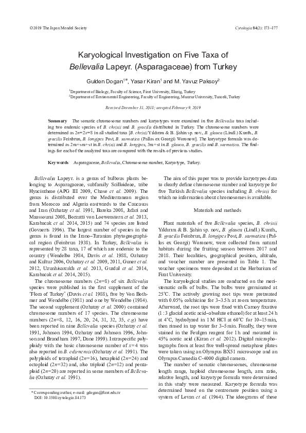 (PDF) Karyological Investigation on Five Taxa of Bellevalia Lapeyr ...
