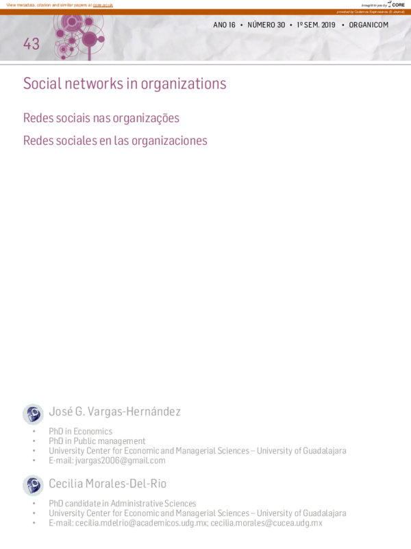 (PDF) Redes sociais nas organizações