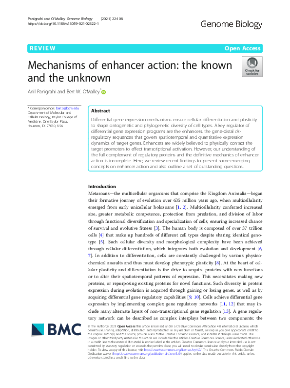 (PDF) Mechanisms of enhancer action: the known and the unknown