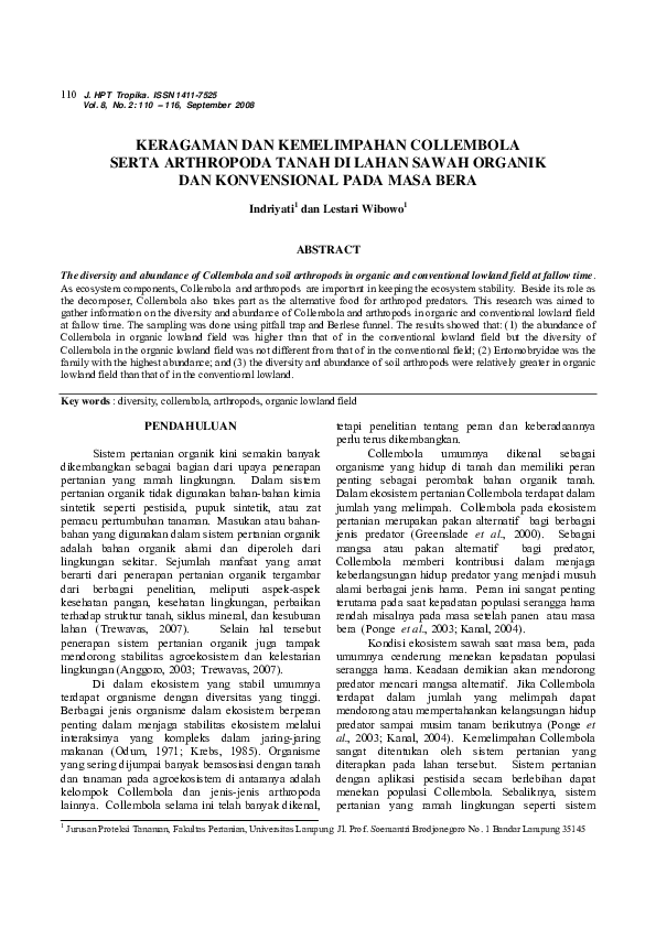(PDF) Keragaman Dan Kemelimpahan Collembola Serta Arthropoda Tanah DI ...
