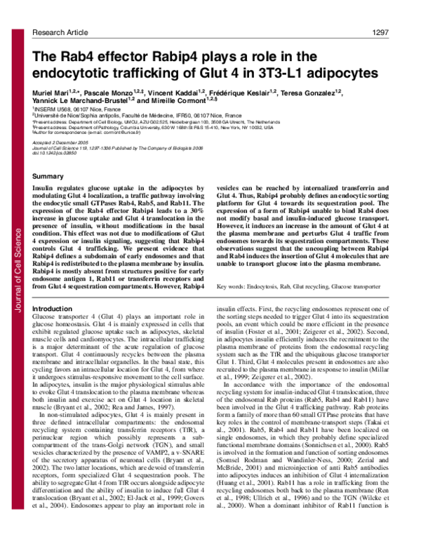 (PDF) The Rab4 effector Rabip4 plays a role in the endocytotic ...