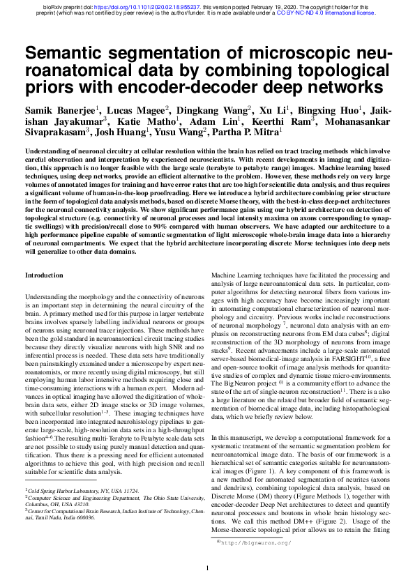 Pdf Semantic Segmentation Of Microscopic Neuroanatomical Data By