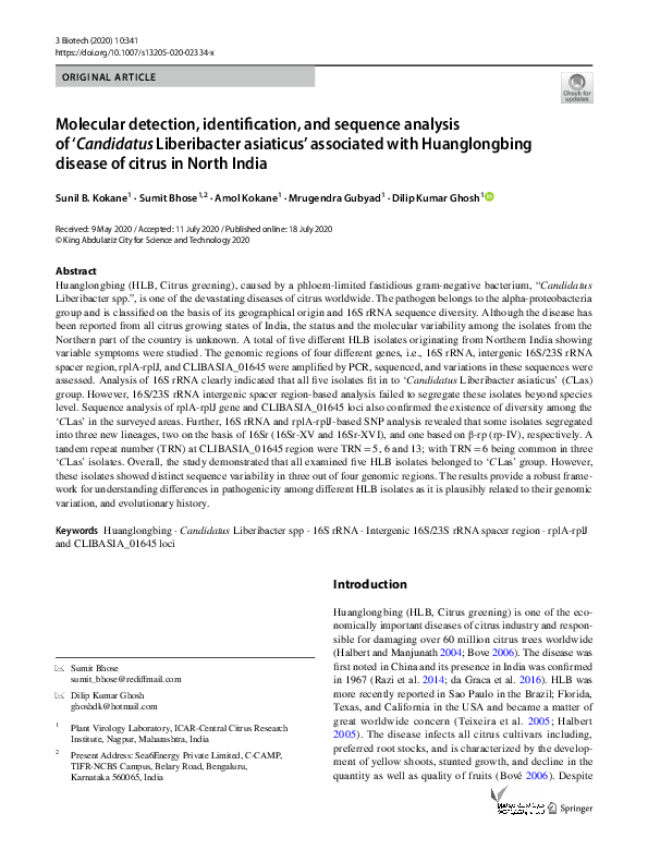(PDF) Molecular detection, identification, and sequence analysis of ...