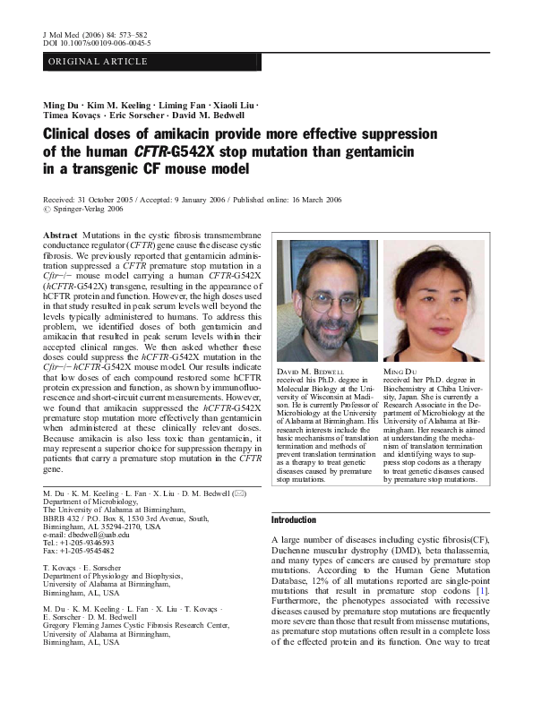 (PDF) Clinical doses of amikacin provide more effective suppression of ...