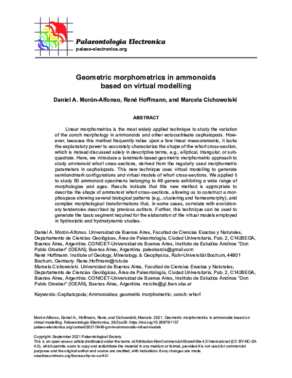 (PDF) Geometric morphometrics in ammonoids based on virtual modelling