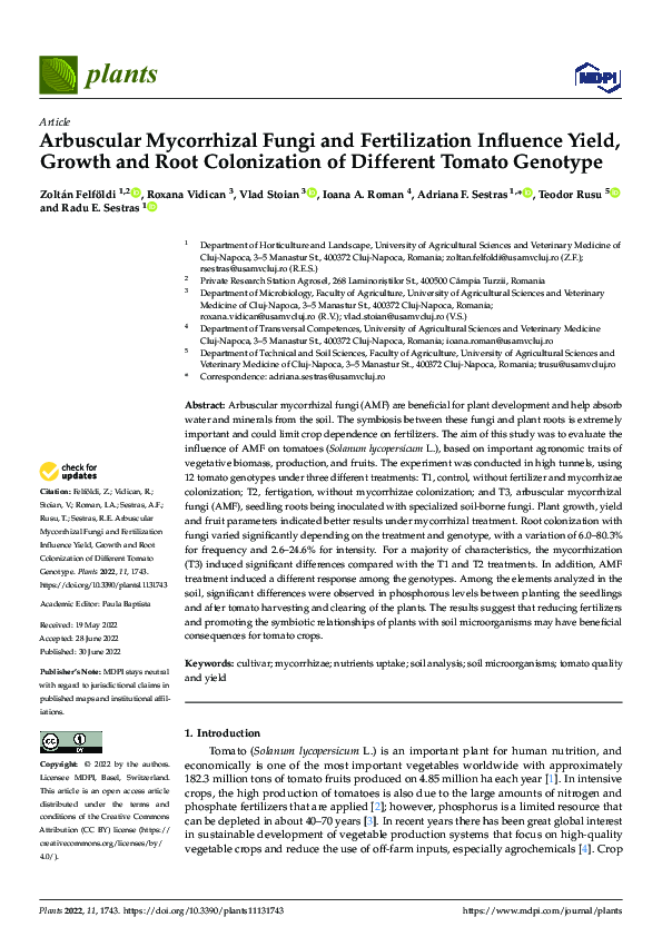 (PDF) Arbuscular Mycorrhizal Fungi and Fertilization Influence Yield, Growth and Root ...