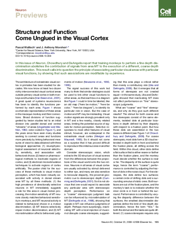 (PDF) Structure and Function Come Unglued in the Visual Cortex