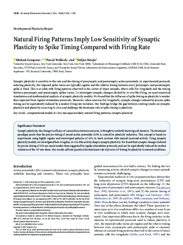 (PDF) Natural Firing Patterns Imply Low Sensitivity of Synaptic Plasticity to Spike Timing ...