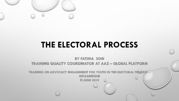 (PDF) THE ELECTORAL PROCESS