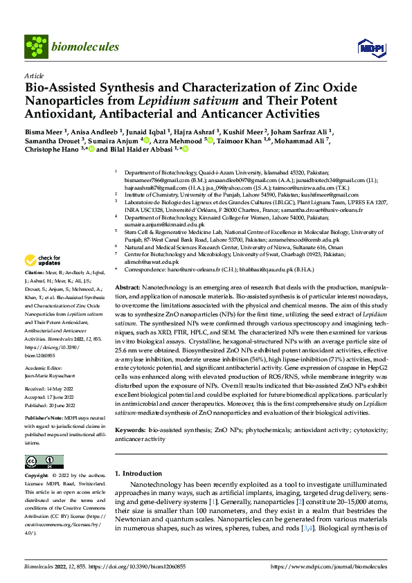 (PDF) Bio-Assisted Synthesis and Characterization of Zinc Oxide Nanoparticles from Lepidium ...