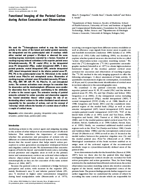 (PDF) Functional Imaging of the Parietal Cortex during Action Execution and Observation