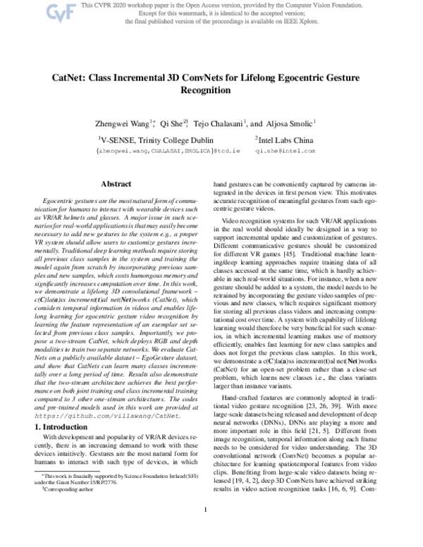 (PDF) CatNet: Class Incremental 3D ConvNets for Lifelong Egocentric Gesture Recognition