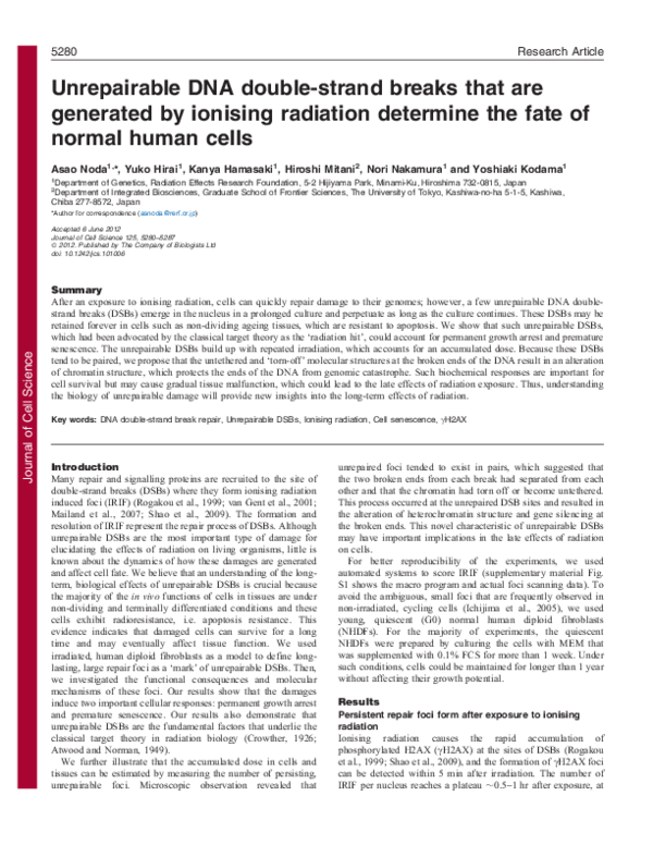 (PDF) Unrepairable DNA double-strand breaks that are generated by ...