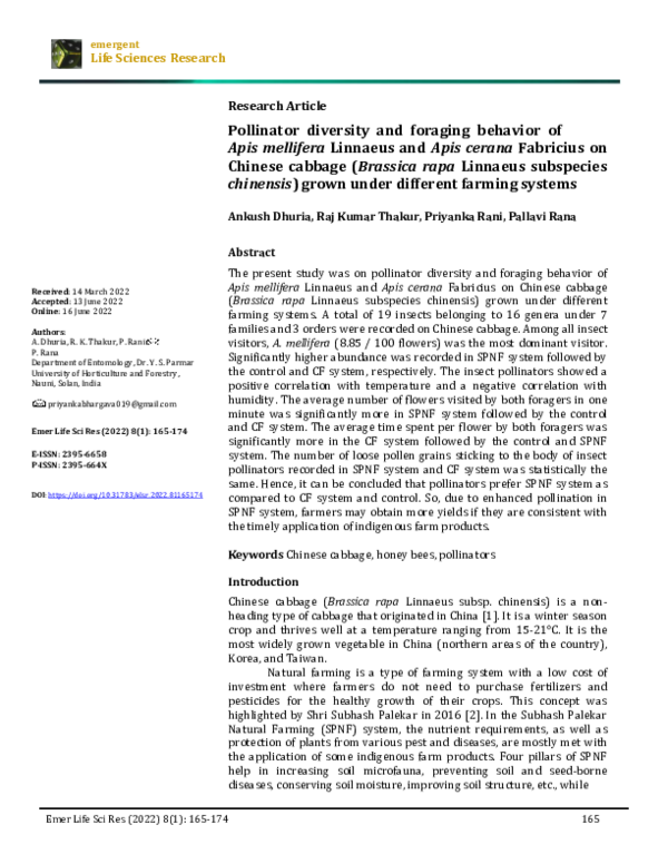 (PDF) Pollinator diversity and foraging behavior of Apis mellifera Linnaeus and Apis cerana ...