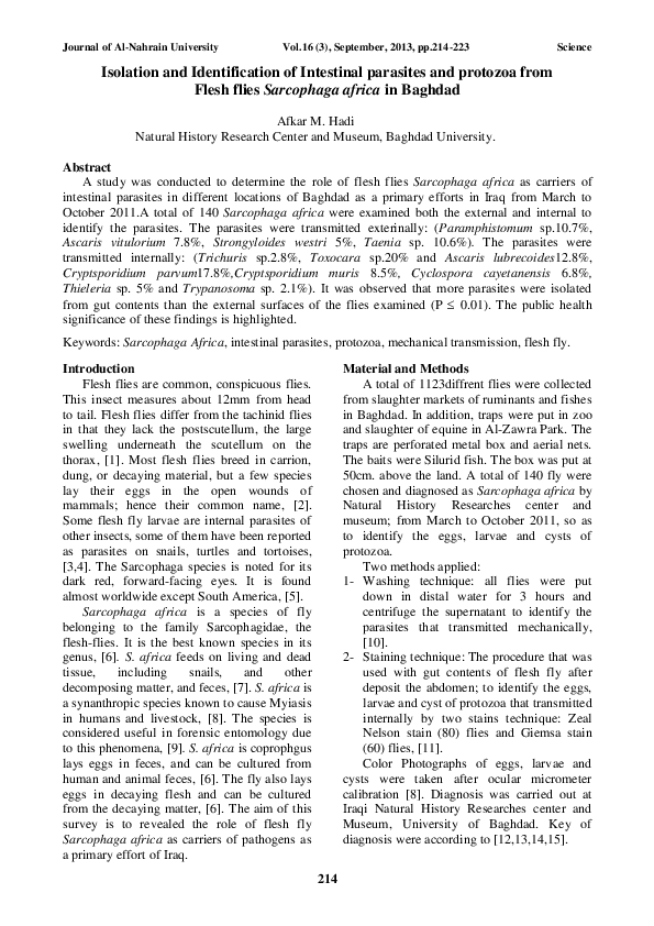 (PDF) Isolation and Identification of Intestinal parasites and protozoa ...
