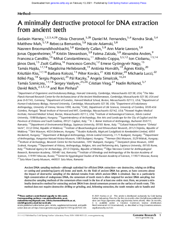 Pdf A Minimally Destructive Protocol For Dna Extraction From Ancient