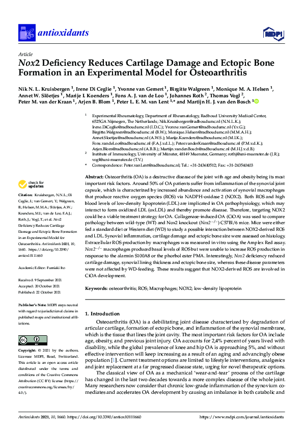 (PDF) Nox2 Deficiency Reduces Cartilage Damage and Ectopic Bone ...