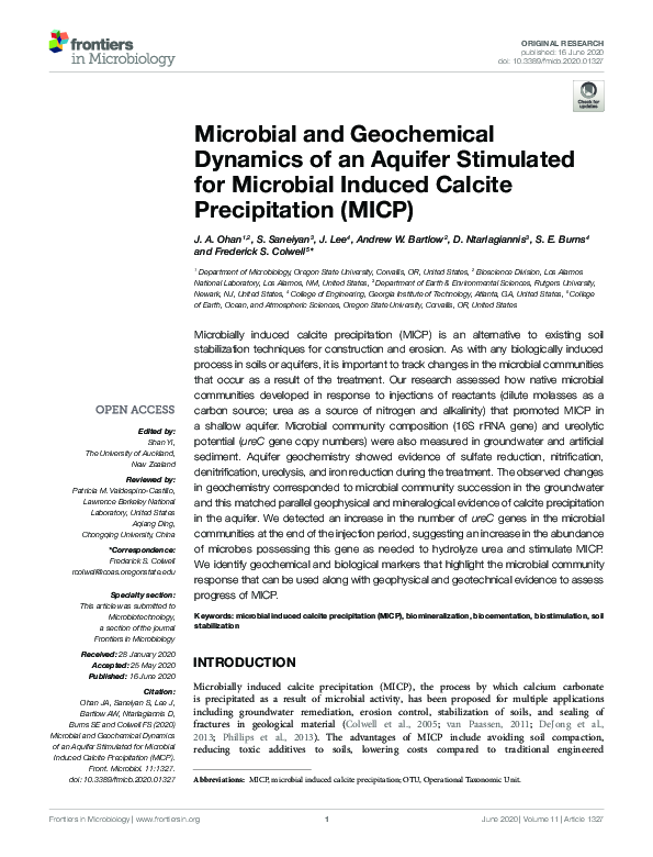 (PDF) Microbial and Geochemical Dynamics of an Aquifer Stimulated for ...