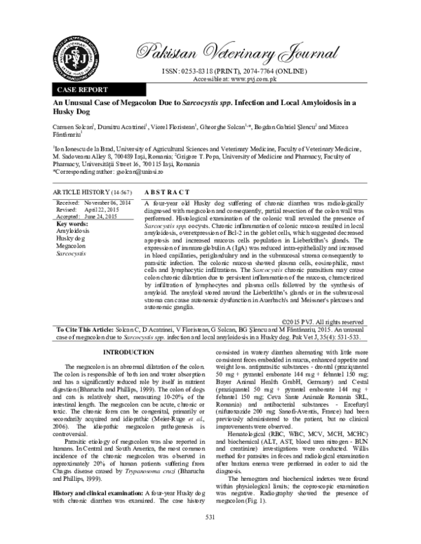 (PDF) An unusual case of megacolon due to Sarcocystis spp. infection ...