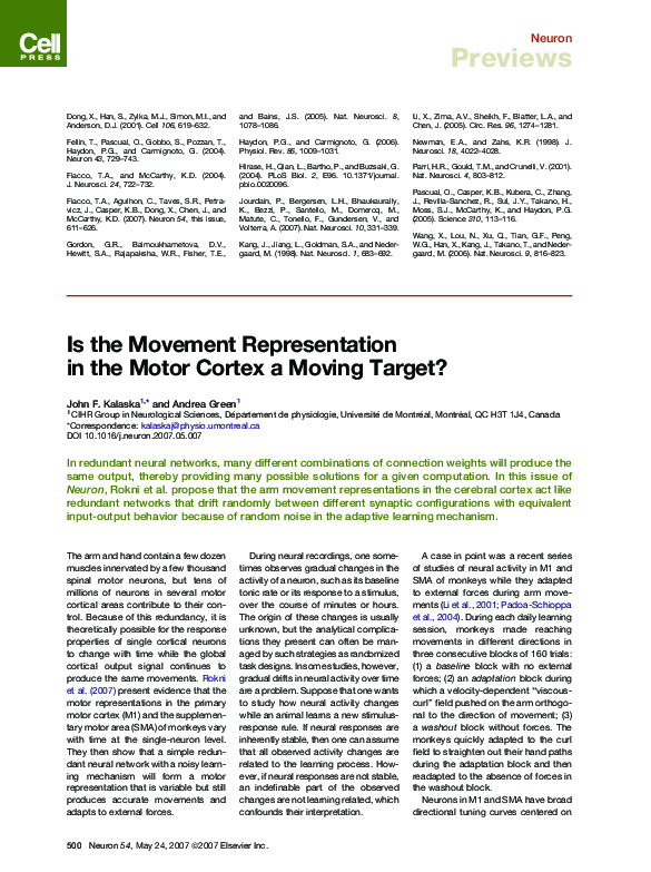 (PDF) Is the Movement Representation in the Motor Cortex a Moving Target?