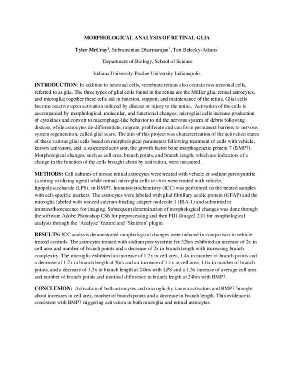 (PDF) Morphological Analysis of Retinal Glia