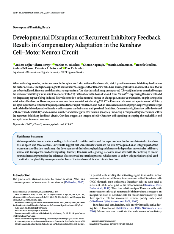 (PDF) Developmental disruption of recurrent inhibitory feedback results ...