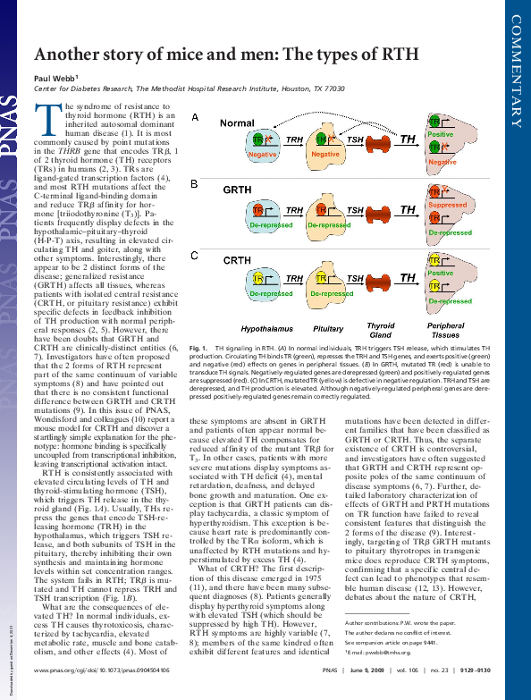 (PDF) Another story of mice and men: The types of RTH