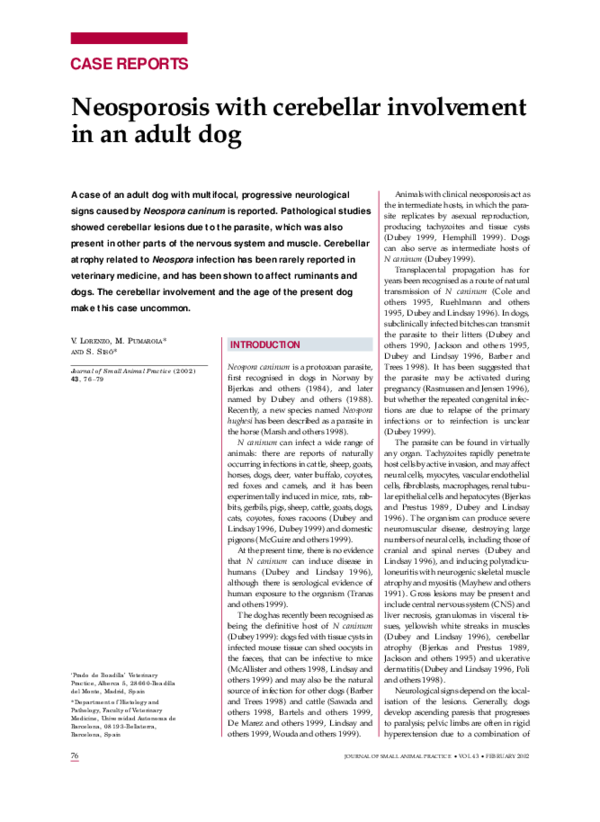 (PDF) Neosporosis with cerebellar involvement in an adult dog | Sílvia ...