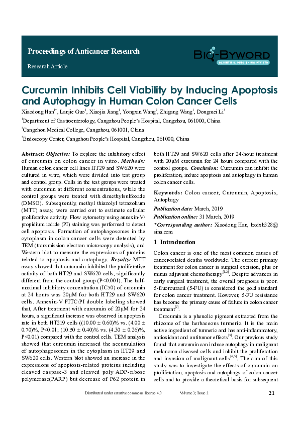 (PDF) Welcome to Bachoura or the Found City as Interstice