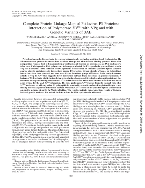(PDF) Complete Protein Linkage Map of Poliovirus P3 Proteins ...